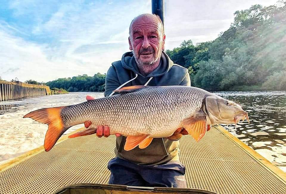 Premium Fishing Bait & Merchandise - Vortex Baits