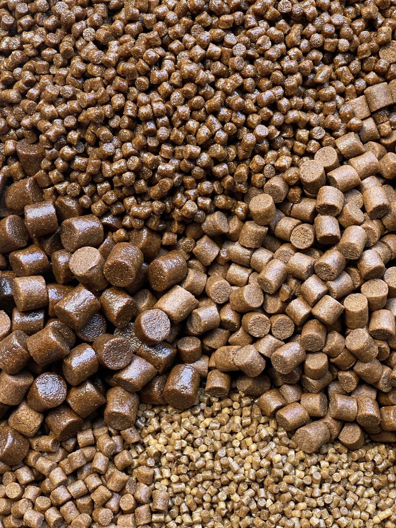 Squid Liver Enzyme Pellet - Vortex Baits