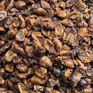 Exotic Naturals Archives - Vortex Baits