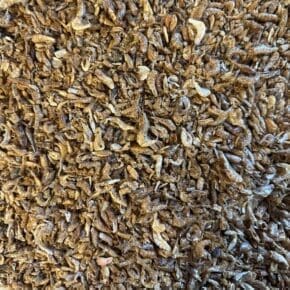 Exotic Naturals Archives - Vortex Baits